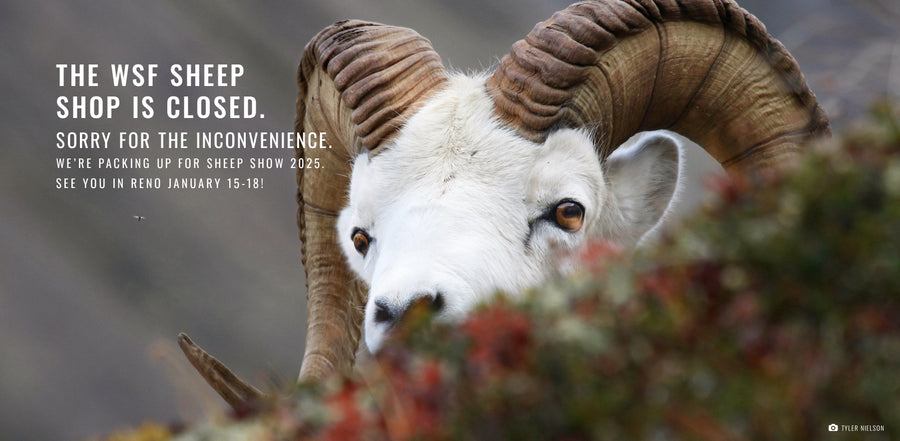 Sheep Shop – Wild Sheep Foundation